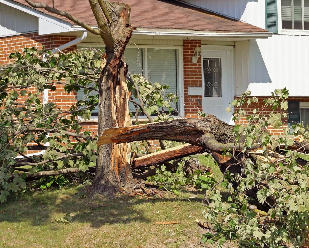 6 Tips to Protect Your Home From Wind Damage - RMI Inspection Services